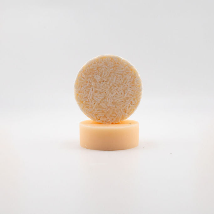 Sol Searcher Shampoo & Conditioner – Mint Pineapple Boutique